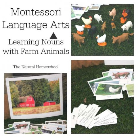 Montessori Language Arts: Learning Nouns with FREE Farm Animals ...