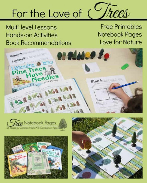 "For the Love of Trees" Lessons, Books, FREE Printables & Hands-on ...