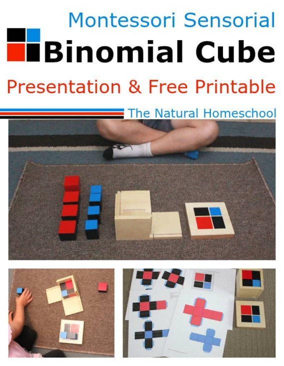 Montessori Sensorial: Binomial Cube (Free Printable!) - The Natural ...