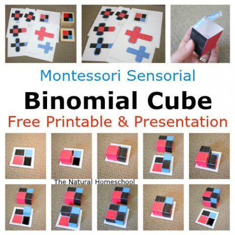Montessori Sensorial: Binomial Cube (Free Printable!) - The Natural ...