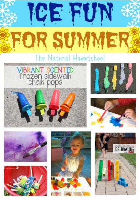 Fun Ideas for Summer Activities - The Natural Homeschool