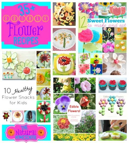 Free Flower Matching Game Printable - The Natural Homeschool
