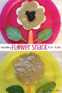 35+ Edible Flower Recipes - The Natural Homeschool