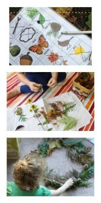 15+ Autumn Nature Exploration & Activities - The Natural Homeschool