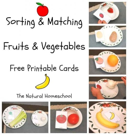 Naming, Sorting, Coloring & Matching Fruits & Vegetables {Free ...