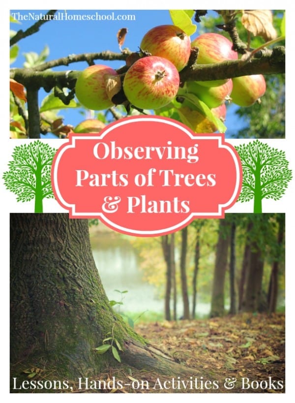 Investigating Animals & Their Habitats - The Natural Homeschool