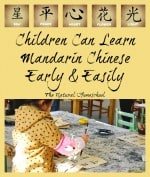 How to Learn Mandarin Chinese for Children - The Natural Homeschool