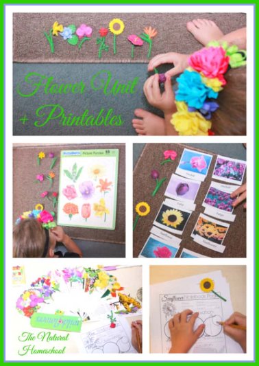 Free Flower Matching Game Printable - The Natural Homeschool