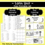Roman Numeral Lessons (Numbers in Latin, Ancient Roman Culture & Free ...