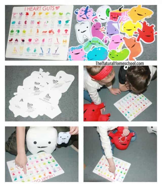 Human Body Games for Kids - The Natural Homeschool