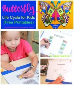 Butterfly Life Cycle for Kids (Free Printables) - The Natural Homeschool