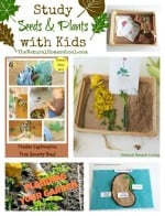 Study Seeds and Plants with Kids {Link Party 82} - The Natural Homeschool