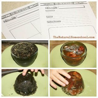Erosion vs Weathering ~ Awesome Science STEM Activities - The Natural ...
