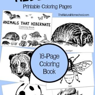 17 Printable Pictures of Animals that Adapt in Winter - The Natural ...