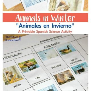 Animals in Winter: Hibernation, Migration and Adaptation Unit Study for ...