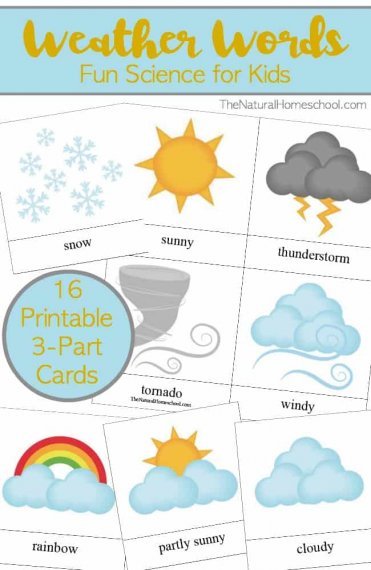 Weather Words for Kids {Printable 3-Part Card Set} - The Natural Homeschool