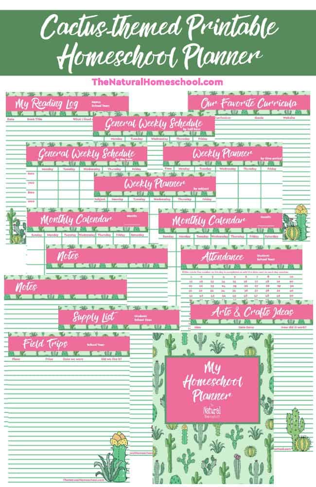 Awesome Homeschool Room - Pictures & Printable Homeschool Planner - The ...
