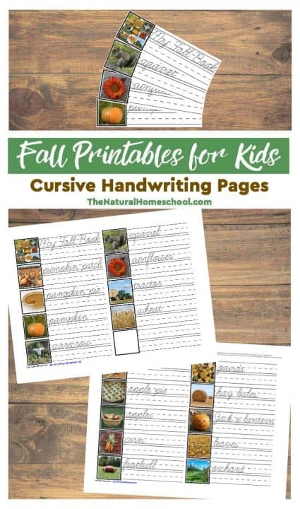 Fall Printables for Kids - Cursive Handwriting Pages - The Natural ...