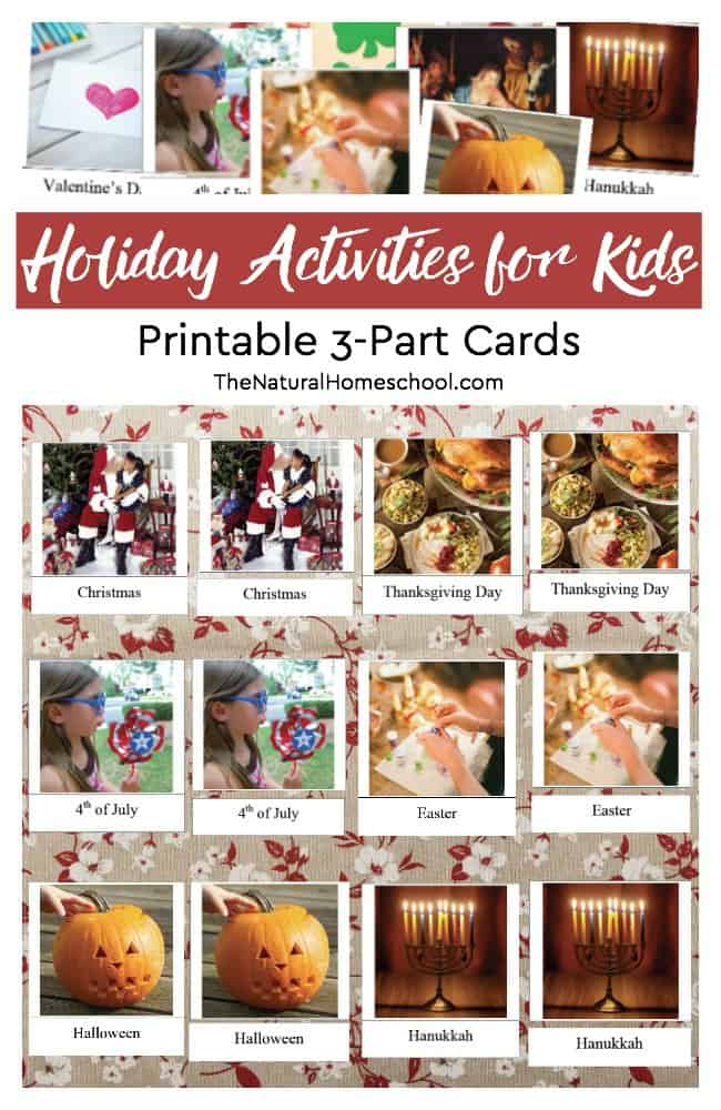 Montessori Holiday Activities for Kids ~ Printable 3-Part Cards - The ...