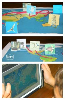 Animals in Winter ~ How to make a Migration Diorama {Printables} - The ...