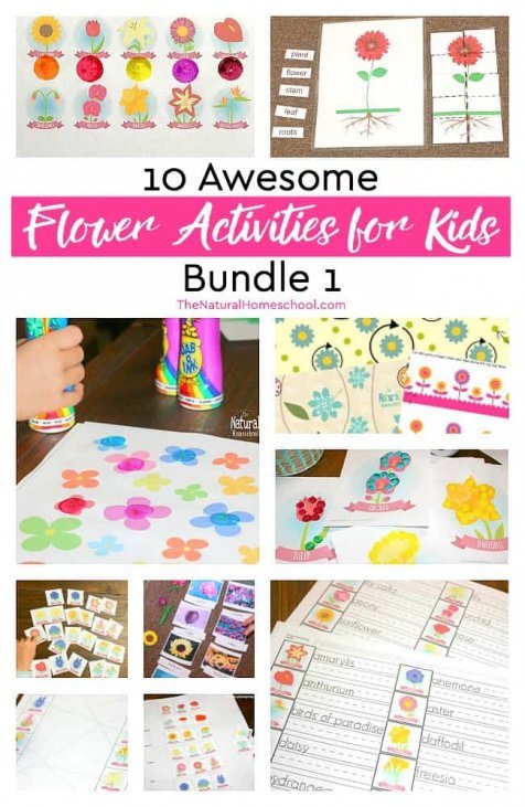 Awesome Printable Flower Activities for Kids BUNDLE 1 - The Natural ...