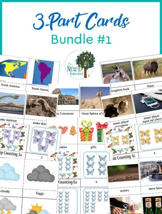 The Best Montessori 3-Part Cards ~ Bundle 1 - The Natural Homeschool