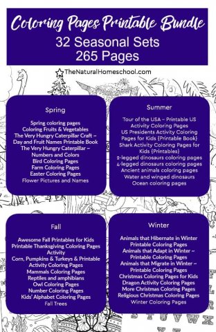 Year-long Coloring Pages for Kids Bundle ~ 32 Bundles ~ 265 Pages - The ...