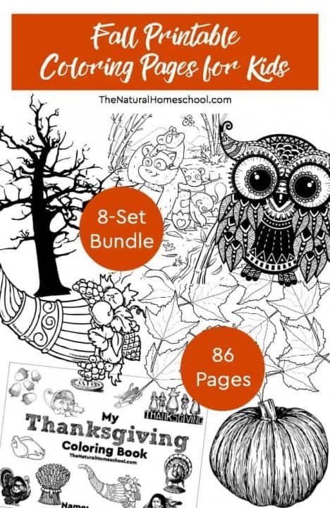 Fall Printable Coloring Pages for Kids ~ 8-Set Bundle - The Natural ...