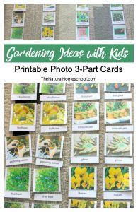 Gardening Ideas with Kids (Printable Photo 3-Part Cards) - The Natural ...