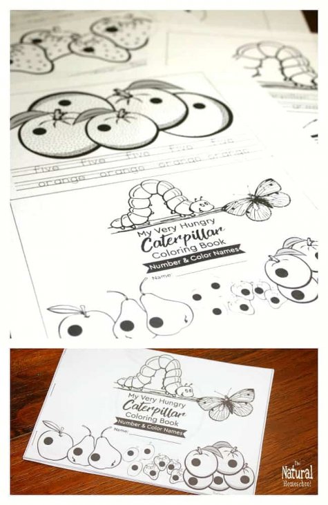 The Very Hungry Caterpillar Printable Book (Color and Number Names)