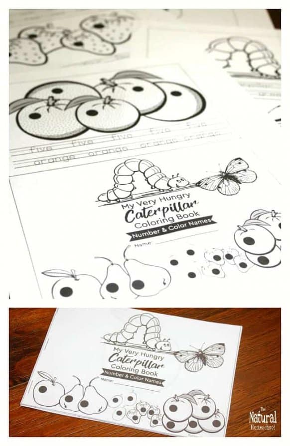 The Very Hungry Caterpillar Printable Book (Color and Number Names)