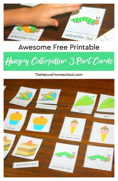 Awesome Free Printable Hungry Caterpillar 3-Part Cards - The Natural ...