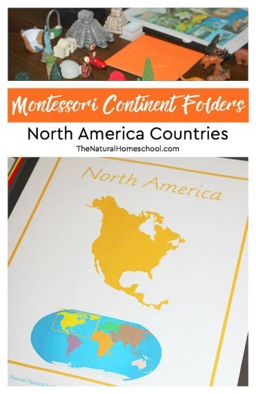 Facts on North America ~ Printable Montessori Continent Folder - The ...