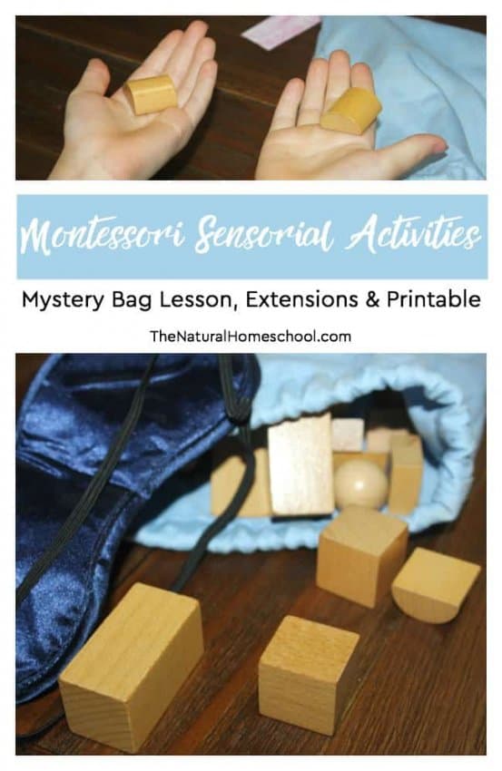 Montessori Sensorial Activities ~ Mystery Bag Lesson, Extensions ...