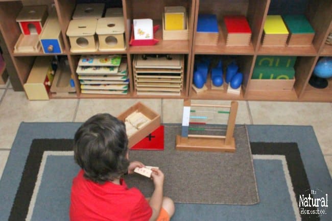 The Best Montessori Curriculum 3-6 Resources and Tips You Need