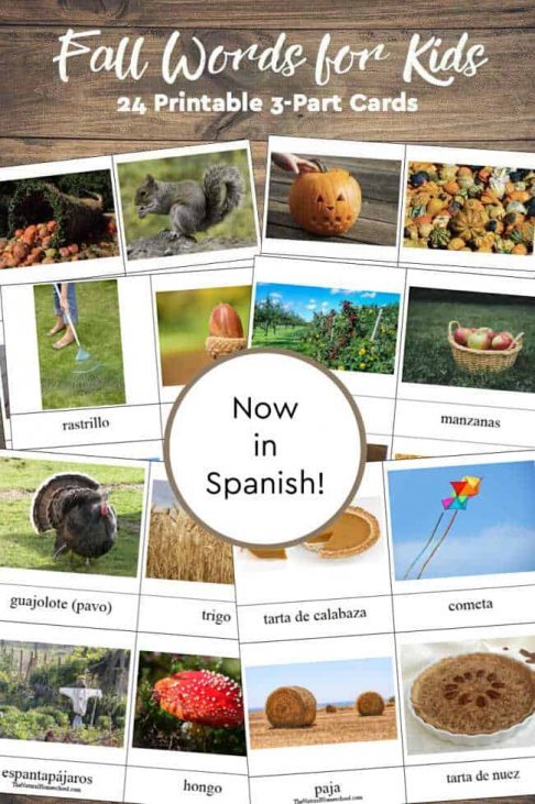 Fall Printable Pictures in Spanish ~ 3-Part Cards - The Natural Homeschool