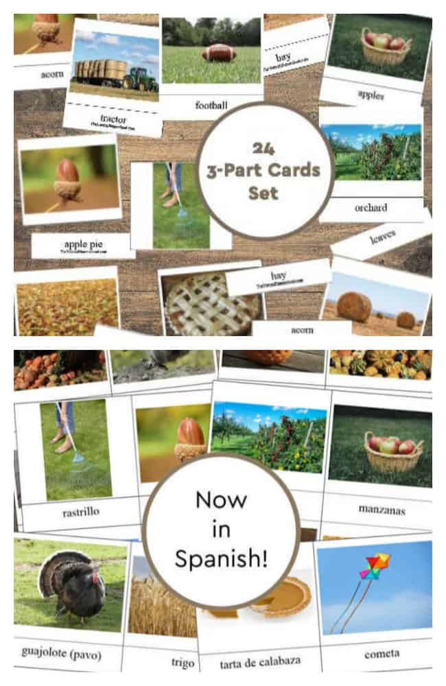 10 Fall Nature Activities (with 2 Free Fall Printable Pictures Set ...