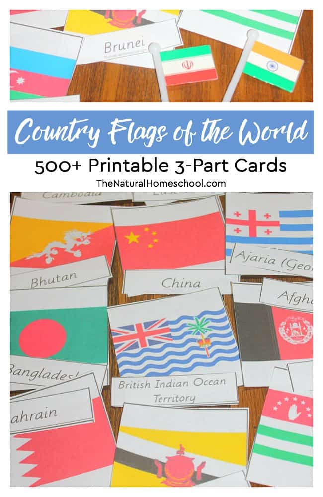 The World Game World Flags Flashcards, 245 Countries Flags, Geography ...