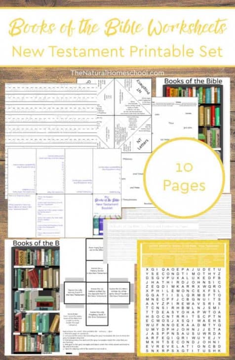 Books of the Bible Worksheets ~ New Testament Printable Set - The ...