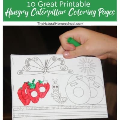 The Very Hungry Caterpillar Activities and Free Printables List - The ...