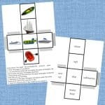 12 of the Best Water Transportation Printable Activities - The Natural ...