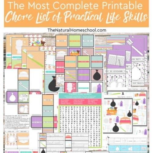 Welcome to Your Ultimate Resource for Chore Mastery! - The Natural ...
