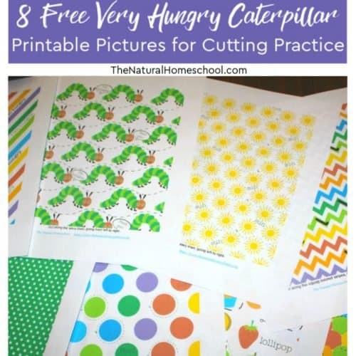Fine Motor Skills List of Ideas - The Natural Homeschool