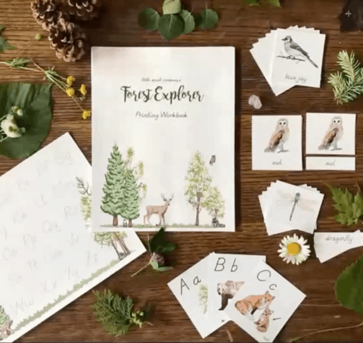 The Most Amazing Alphabet & Literacy Bundle EVER! {9/23-9/29 ONLY ...