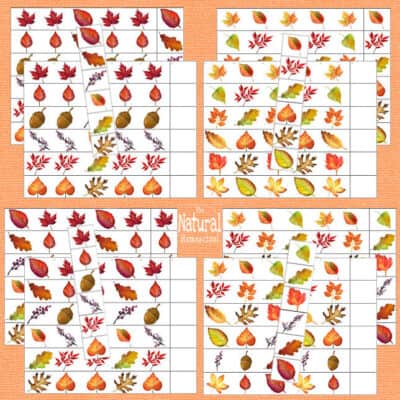 Fall Montessori Printables for Kids - The Natural Homeschool