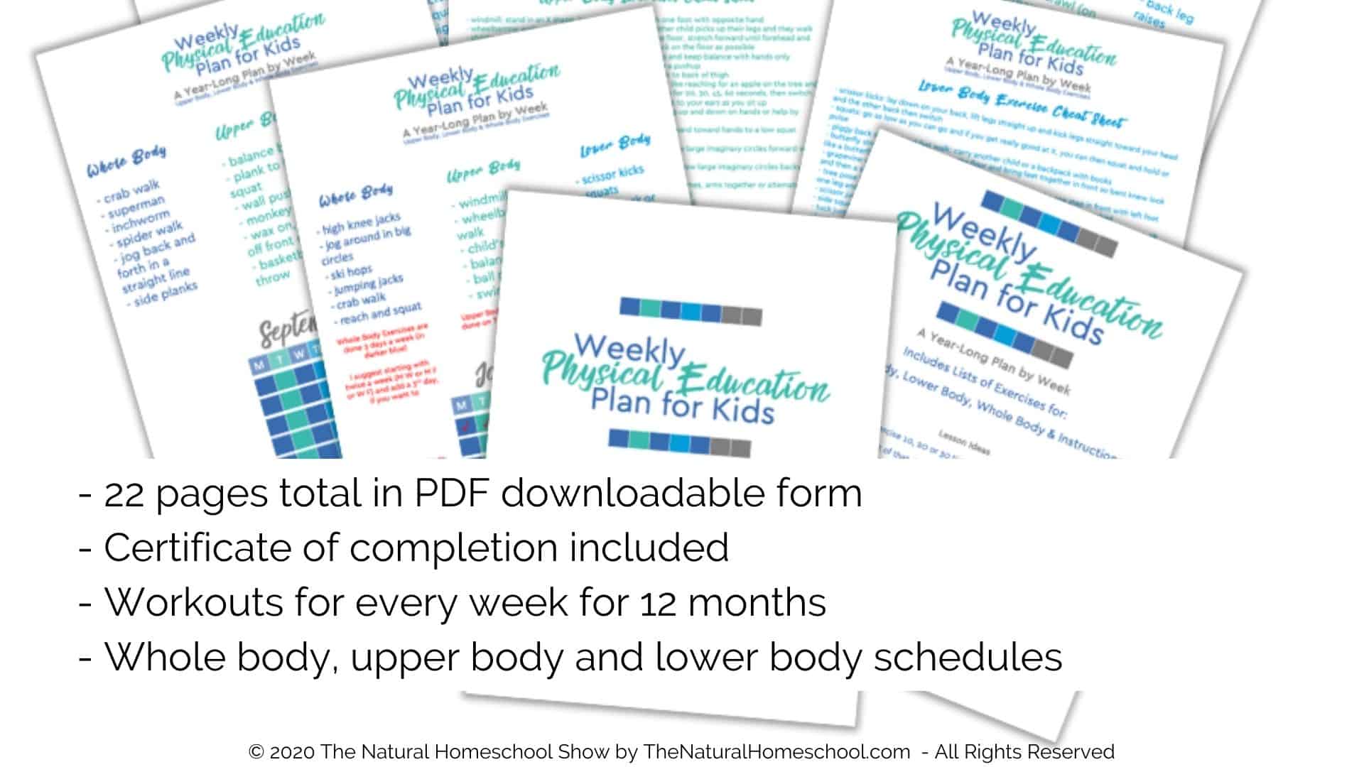 Physical Education Homeschool Curriculum for Kids [Video] - The Natural ...
