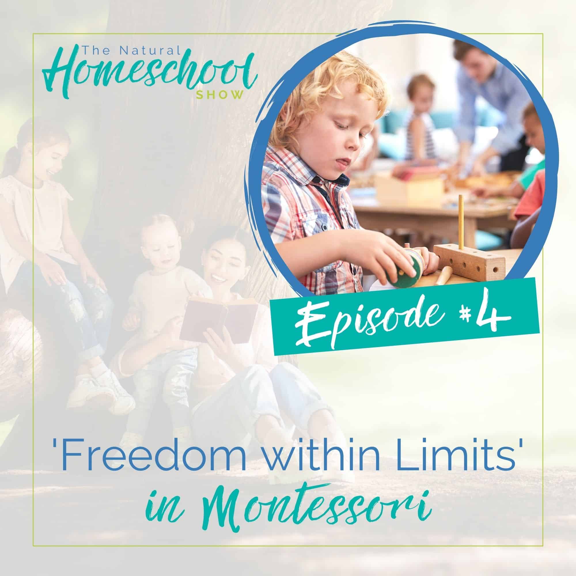 Episode 4: How 'Freedom Within Limits' works in the Montessori ...