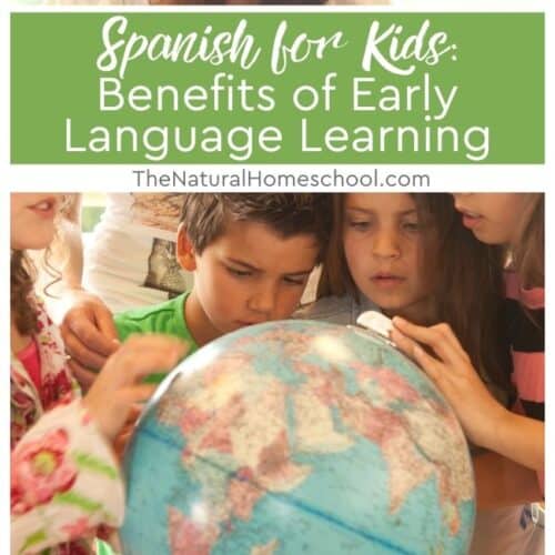 Foreign Languages Posts, Printables, Activity and Lesson Ideas - The ...
