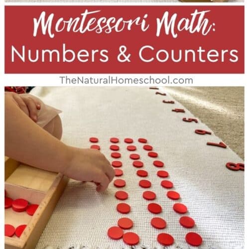 Montessori Math Bead Cabinet ~ Free Montessori Printables - The Natural ...