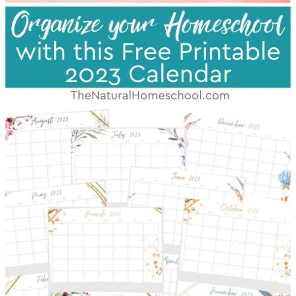 Organize your Homeschool with this Free Printable 2023 Calendar